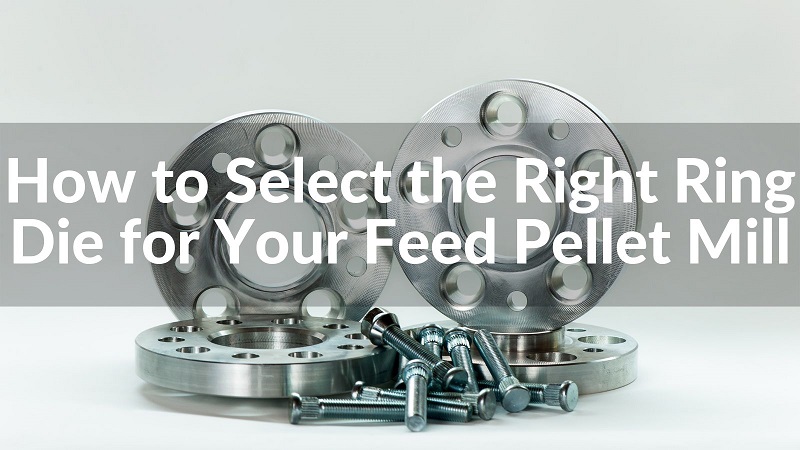 How to Select the Right Ring Die for Your Feed Pellet Mill? - JD Ring Die