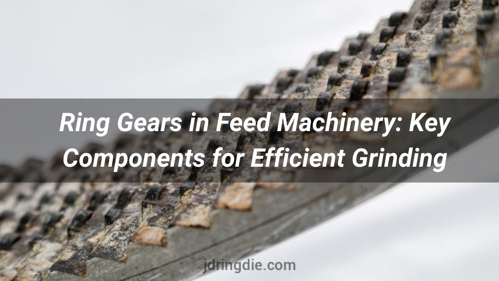 Ring Gears in Feed Machinery: Key Components for Efficient Grinding